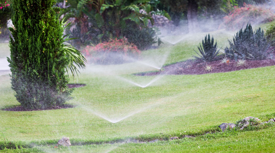 Arrosage automatique, pompe et irrigation agricole | Arrosage Distribution